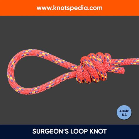 How To Tie A Span Loop Knot In 4 Easy Steps