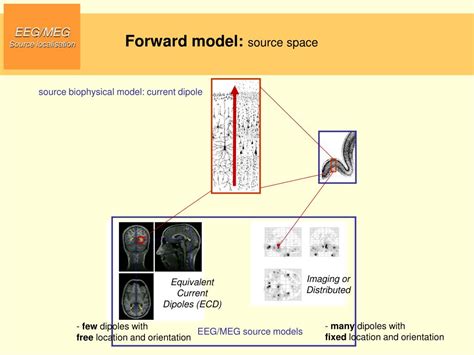 ppt eeg meg source localisation powerpoint presentation free