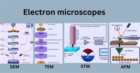 Microscopy Definition Types Uses