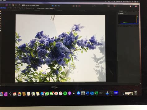 Cant Restore My Editing Options Pre V2 Archive Of Affinity On Desktop Questions Macos And