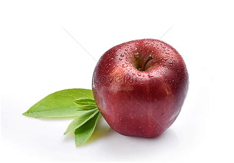 사과 붉은 사과 뱀 과일 사진 무료 다운로드 Lovepik