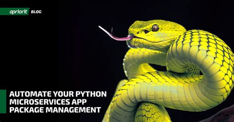 Choosing An Effective Python Dependency Management Tool For Flask