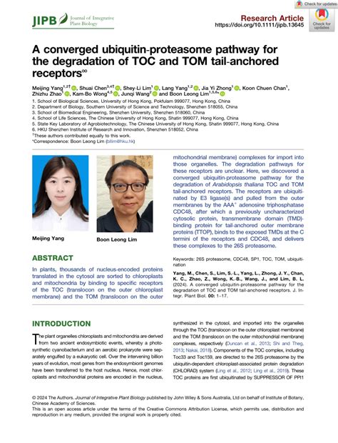 Pdf A Converged Ubiquitin Proteasome Pathway For The Degradation Of