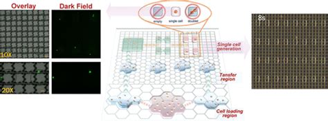Large Area Electronics Enabled High Resolution Digital Microfluidics For Parallel Single Cell
