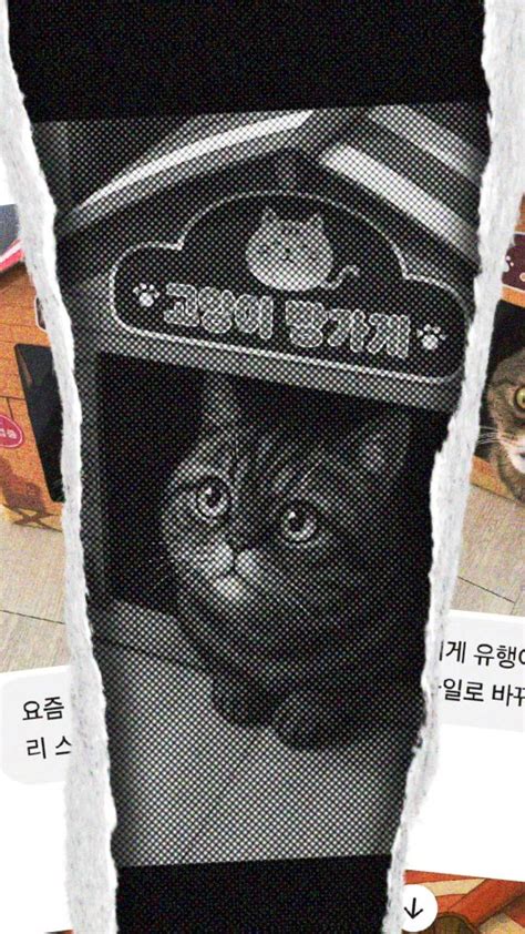 주영광 그냥 웃지 그냥 웃지 그냥 웃지 Instagram