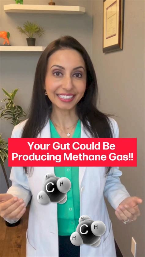Are Your Gut Microbes Producing Methane Gas • Oc Integrative Medicine