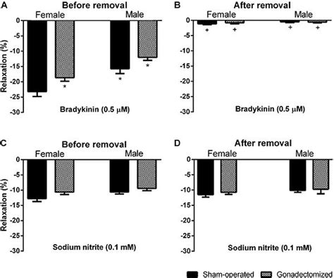 Deficiency Of Sex Hormones Does Not Affect 17 ß Estradiol Induced