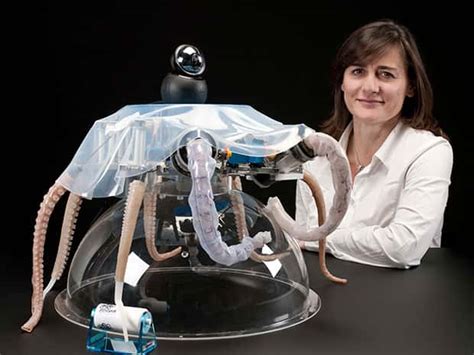 Soft Robotics The Future Of Soft Robots