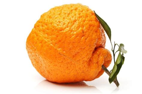 Mongi Boughanmi Posted On Linkedin