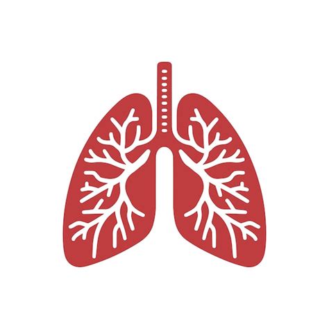 Bronchioles Vectors And Illustrations For Free Download Freepik