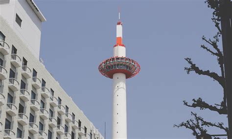 일본 자전거 여행기 7 교토 월계관 사케 박물관 세계를 가다