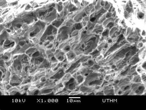 Comparison Between The Microstructure Of Deformed Primary Aluminium Download Scientific Diagram