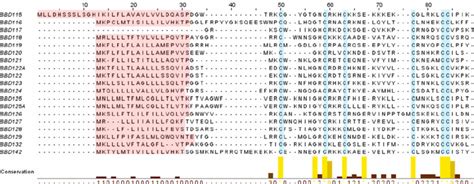 multiple sequence alignment of peptide sequences for the 19 novel