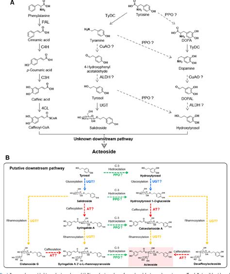Figure 2 From Molecular Identification Of Udp Sugar Dependent Glycosyltransferase And