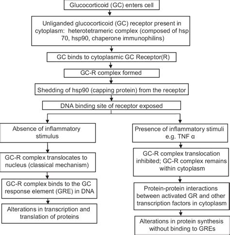 Topical Corticosteroids In Dermatology Indian Journal Of Dermatology Venereology And Leprology