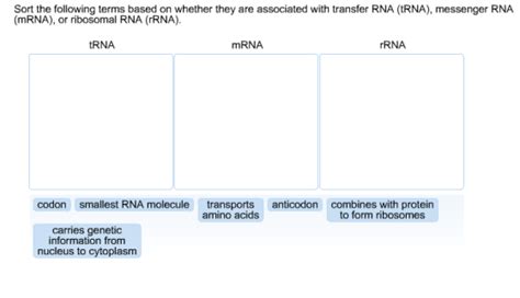 Sort The Following Terms Based On Whether They Are Associated With