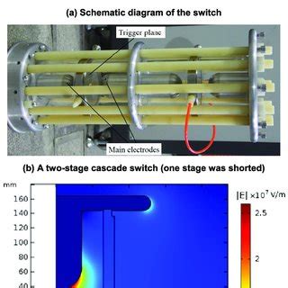 Structure Of The Switch 15 Download Scientific Diagram