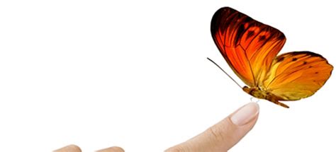 What Bugs Do Professional Testers Find Qatestlab Blog