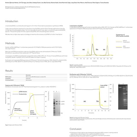 Preparation Of Linear Plasmid Dna For In Vitro Transcription Reaction