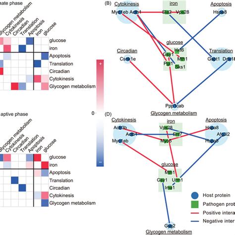 Overview Of The Dynamic Hostpathogen Proteinprotein Interaction