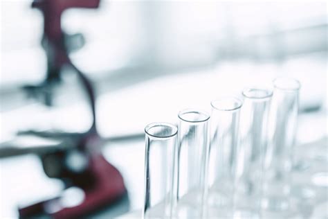 Understanding Gut Microbiome Testing A Key Component Of Our Gut Health Programs Prana Thrive