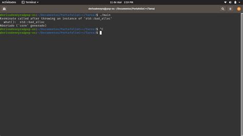 Array ¿por Qué Me Aparece El Error Terminate Called After Throwing