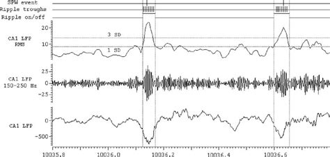 Detection Of Spw Events A 1 S Excerpt Of A Hippocampal Lfp Recording
