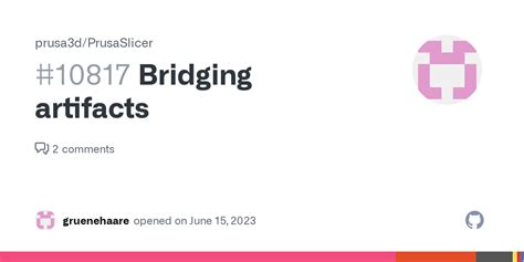 Bridging Artifacts · Issue 10817 · Prusa3dprusaslicer · Github