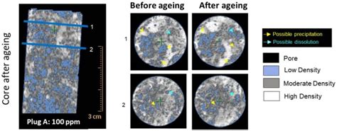 Ct Scan Image Analysis For Core Sample A 100 Ppm Of H 2 S Pre And Download Scientific