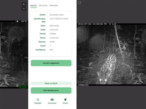 Everything I Know About Ml And Camera Traps