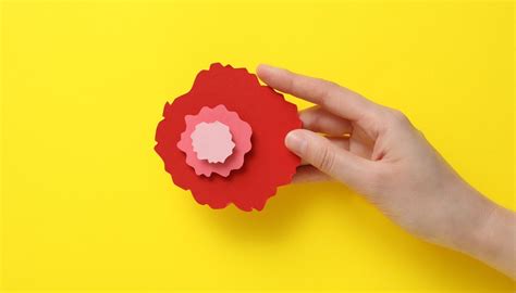 Hyperovulation Causes Signs And Helpful Supplements