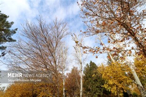 وضعیت جوی خراسان رضوی تا اوایل هفته آینده پایدار خواهد بود خبرگزاری