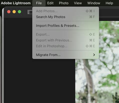 Installing Presets In Lightroom CC Signature Edits Support Library Help Portal