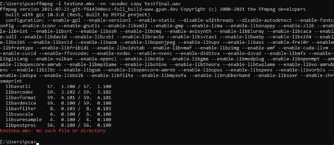 No Such File Or Directory Error Rffmpeg