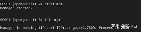 张小白教你使用ogg实现oracle 19c到mysql 57的数据同步 墨天轮 张小白教你使用ogg实现oracle 19c到mysql 57的数据同步 墨天轮