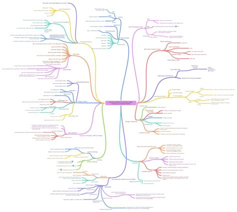 Learning Memory And Amnesia Sleep Dreaming And Circadian Rhythm