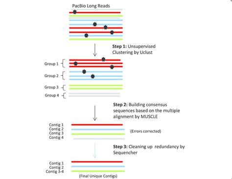 Schema Of The Clustering Based Data Analysis Procedure Using Pacbio Download Scientific Diagram