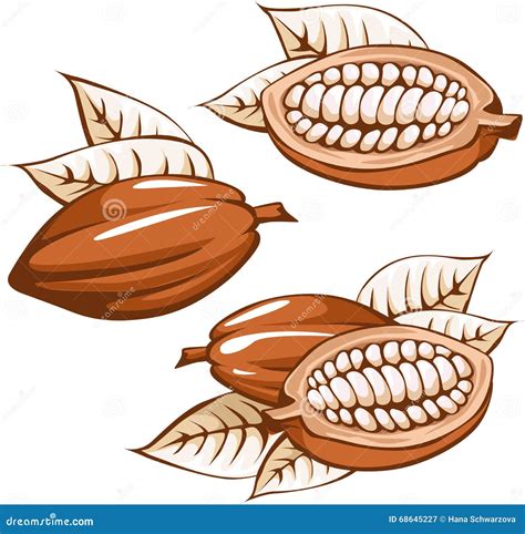 Cocoa Bean Tree Hand Draw Set Illustration Out Line Cartoon Vector
