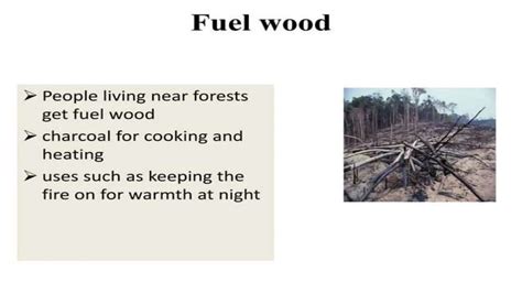 Deforestationpptx Introduction Causes Consequences And Solutions To Deforestation Ppt