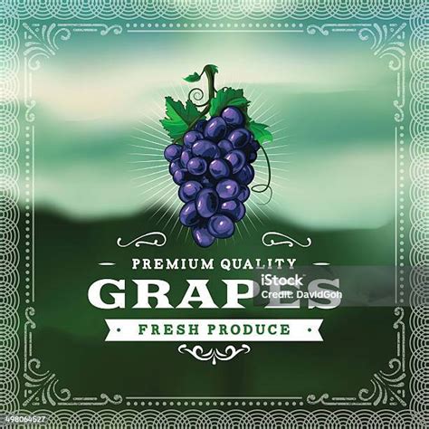 F B 라벨포도 포도에 대한 스톡 벡터 아트 및 기타 이미지 포도 과일 녹색 Istock