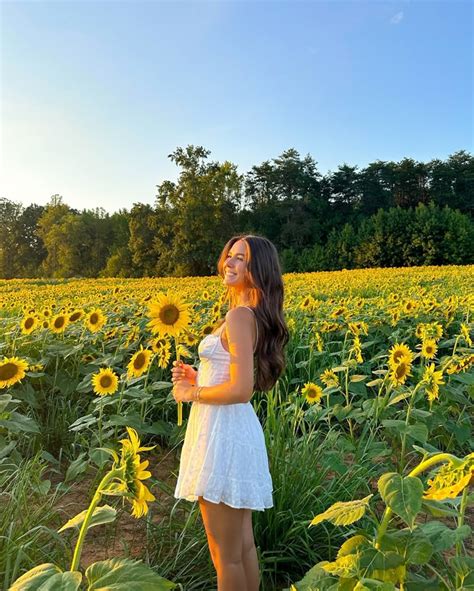Sunflower Lovers🌻🌅🦋 Sunflowerfield Flowerfield Fallactivities