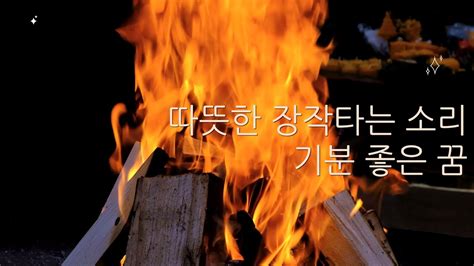 수면유도asmr 캠핑장작소리 🌲 I 절대 끝까지 못 듣는 장작소리🔥 I 떡실신 10분컷 I 듣자마자떡실신하는수면유도asmr I Hbm Youtube