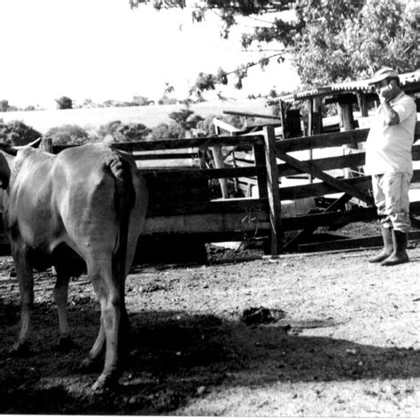 Block Diagram Of Reliability In Series And Parallel System Download Scientific Diagram