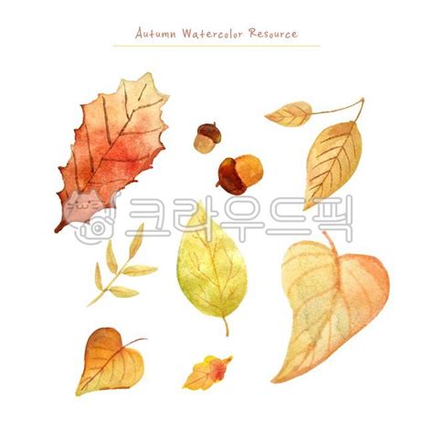 계절 시즌 가을 단풍 수채화 사진이미지일러스트캘리그라피 Dawool작가