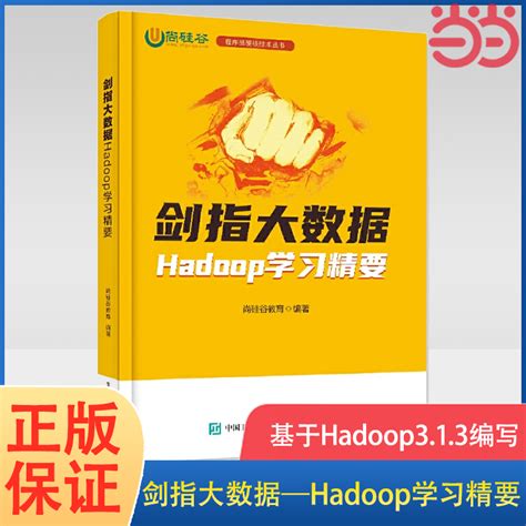 现代内部审计学 第2版 秦荣生编文教大学本科大中专普通高等学校教材专用综合教育课程专业书籍考研预备立信会计出版社 虎窝淘