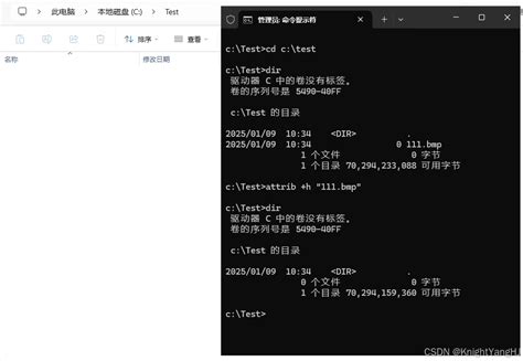 彻底隐藏文件【win】如何在 Windows 11 中隐藏文件和文件夹
