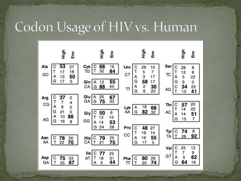 ppt codon optimization powerpoint presentation free download id