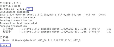 java centos下jdk的安装教程（及java home配置、以jdk1 8为例） chen洋 博客园
