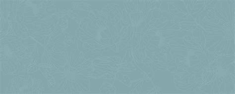 Wide Local Excision Lumpectomy — The Breast Care Centre Breast Cancer Surgeon Sydney A Prof