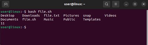 how to count number of lines in terminal output in bash linux genie
